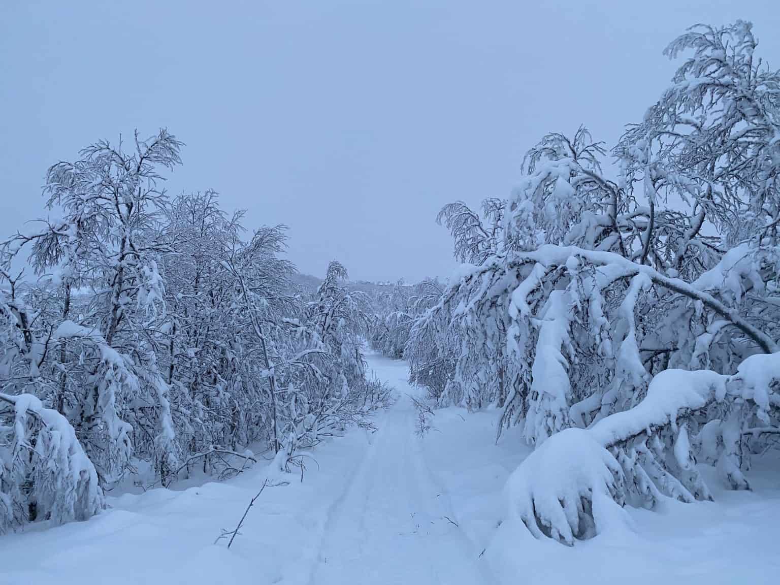 Travel Guide to Kiruna Winter Wonderland The Travel In Pink