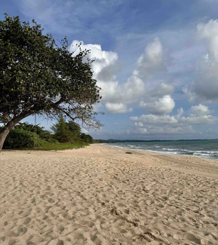 Ultimate Guide to Desaru Coast in Malaysia - Everything You Need to Know